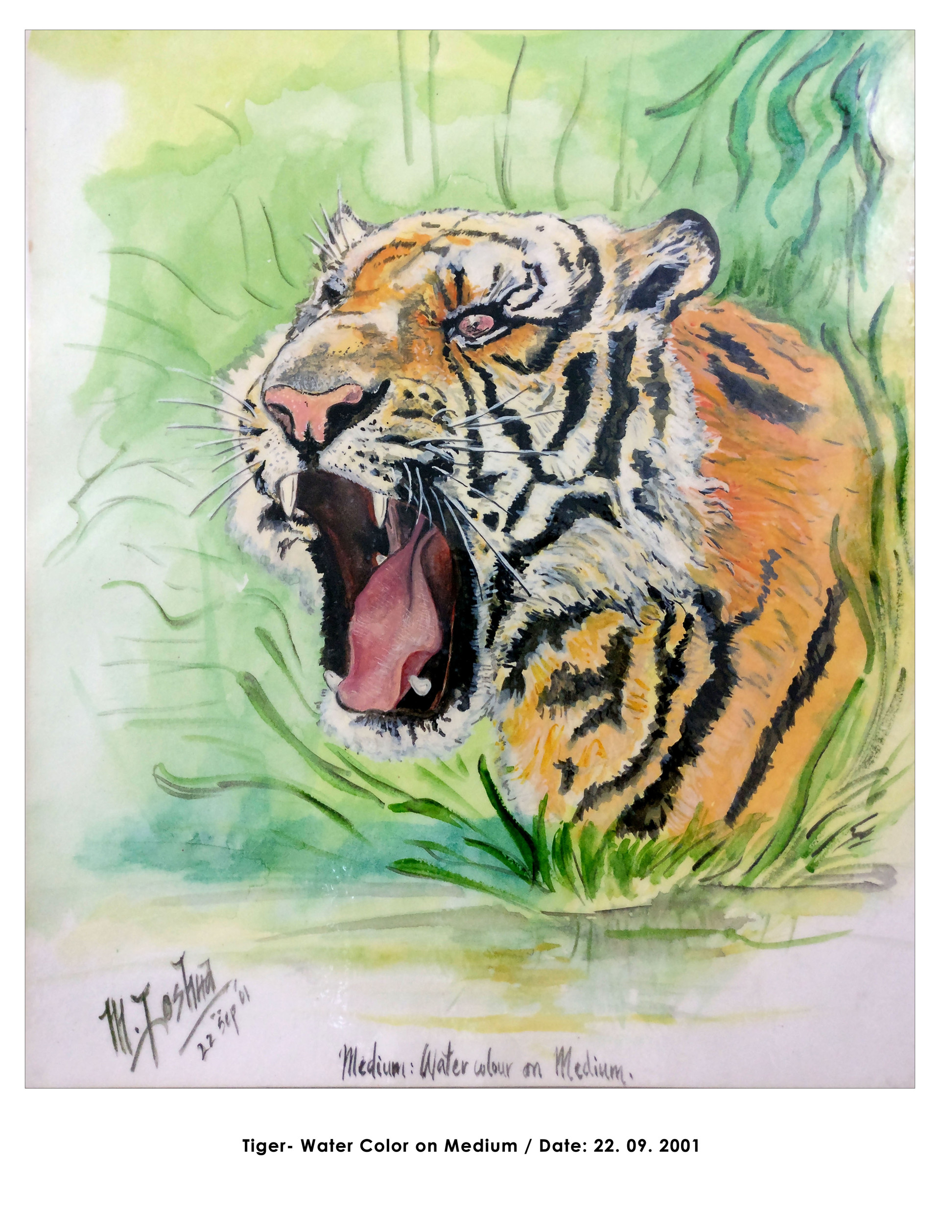 ArtStation - Manuel Art Works