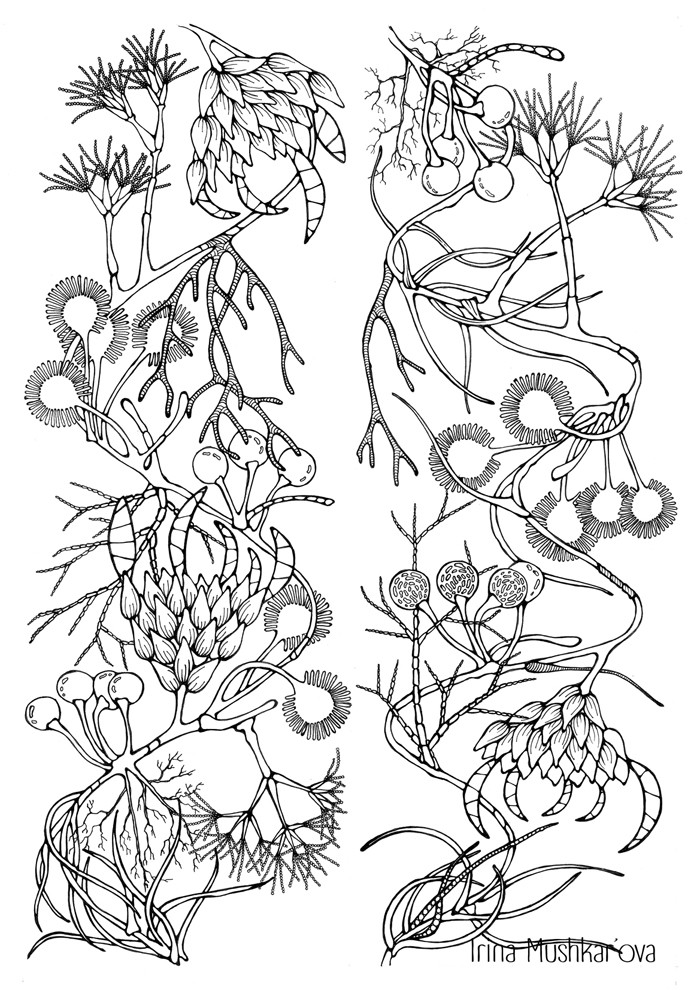 ArtStation - Microcosm