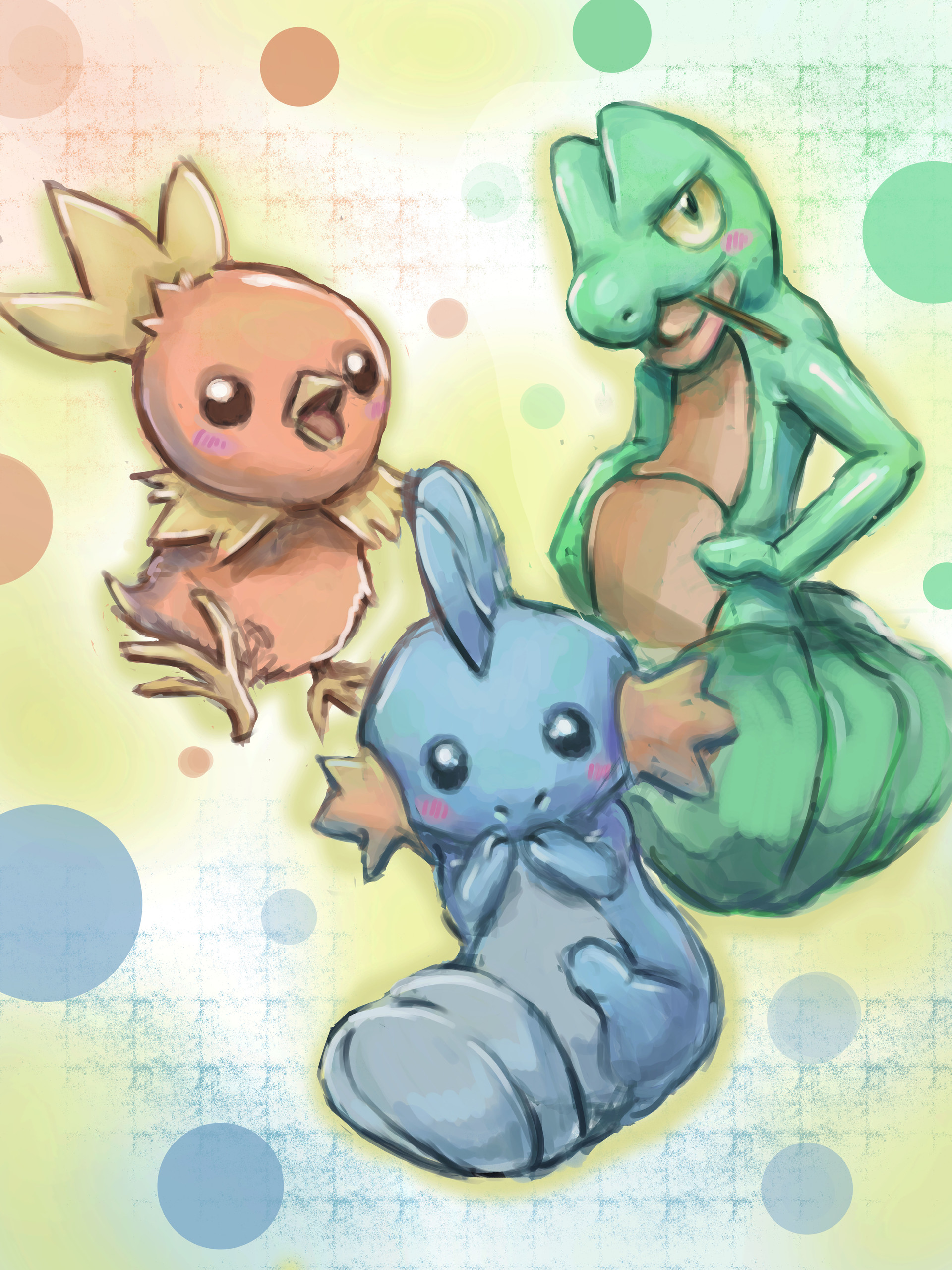Pokemon Starters Hoenn