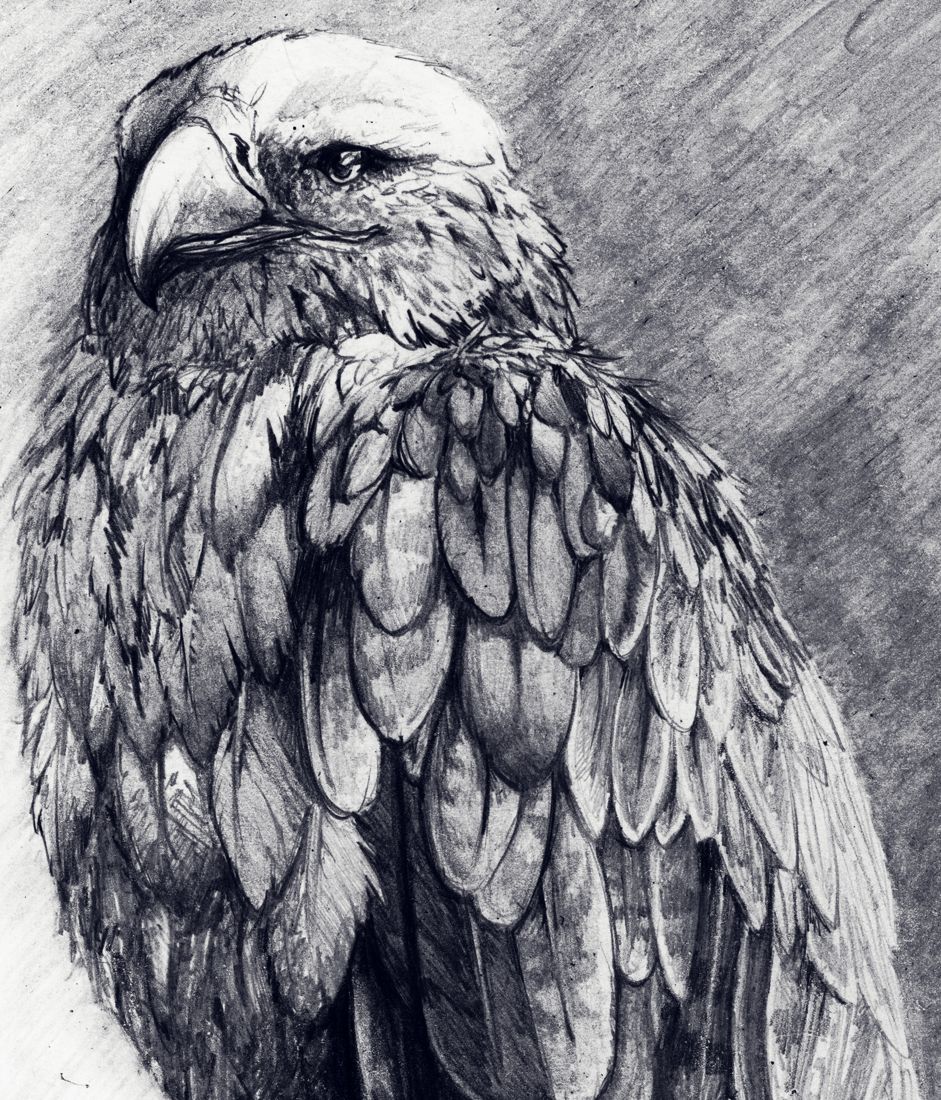 awesome eagle drawing