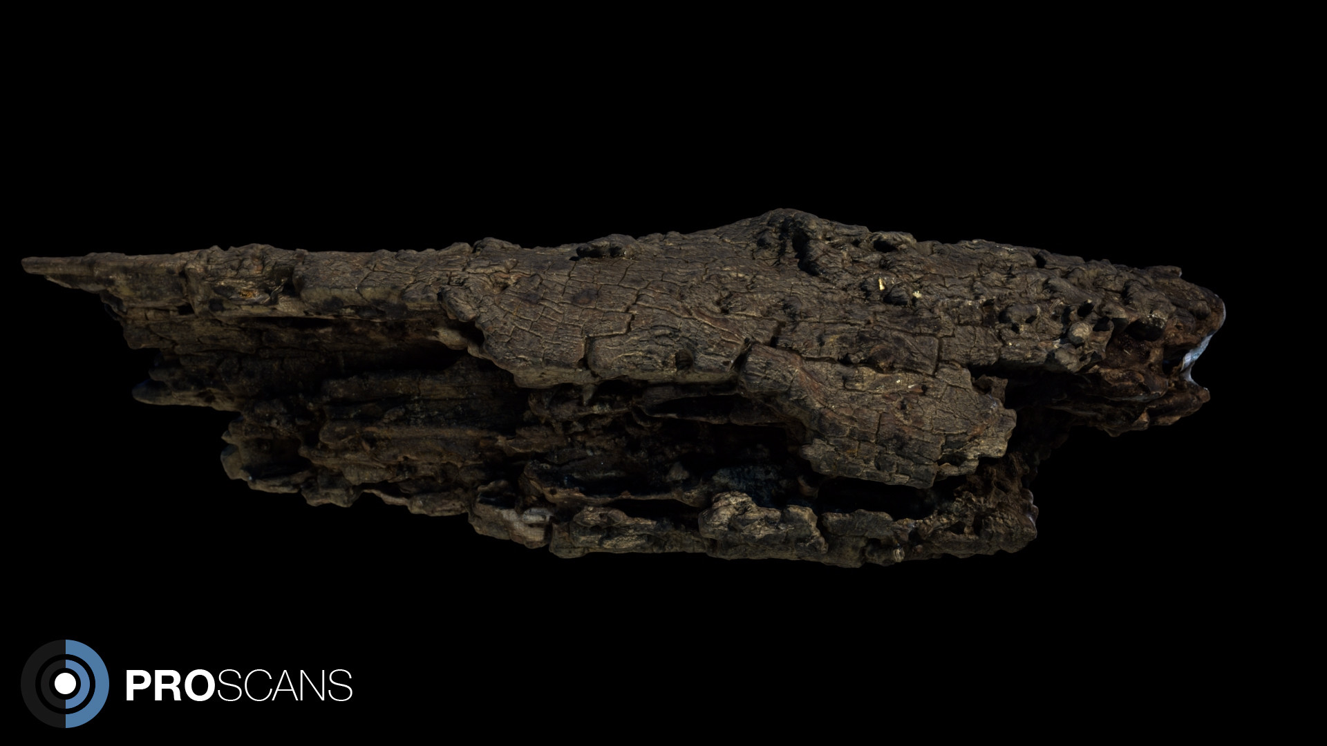 ArtStation - Hollow log