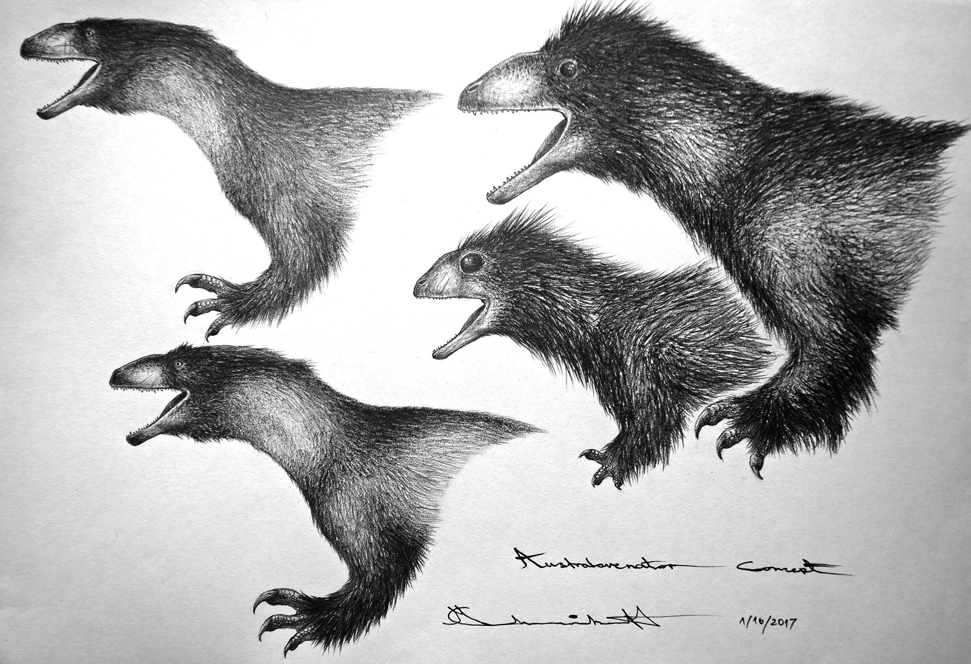 ArtStation - Australovenator Portrait Concept Art