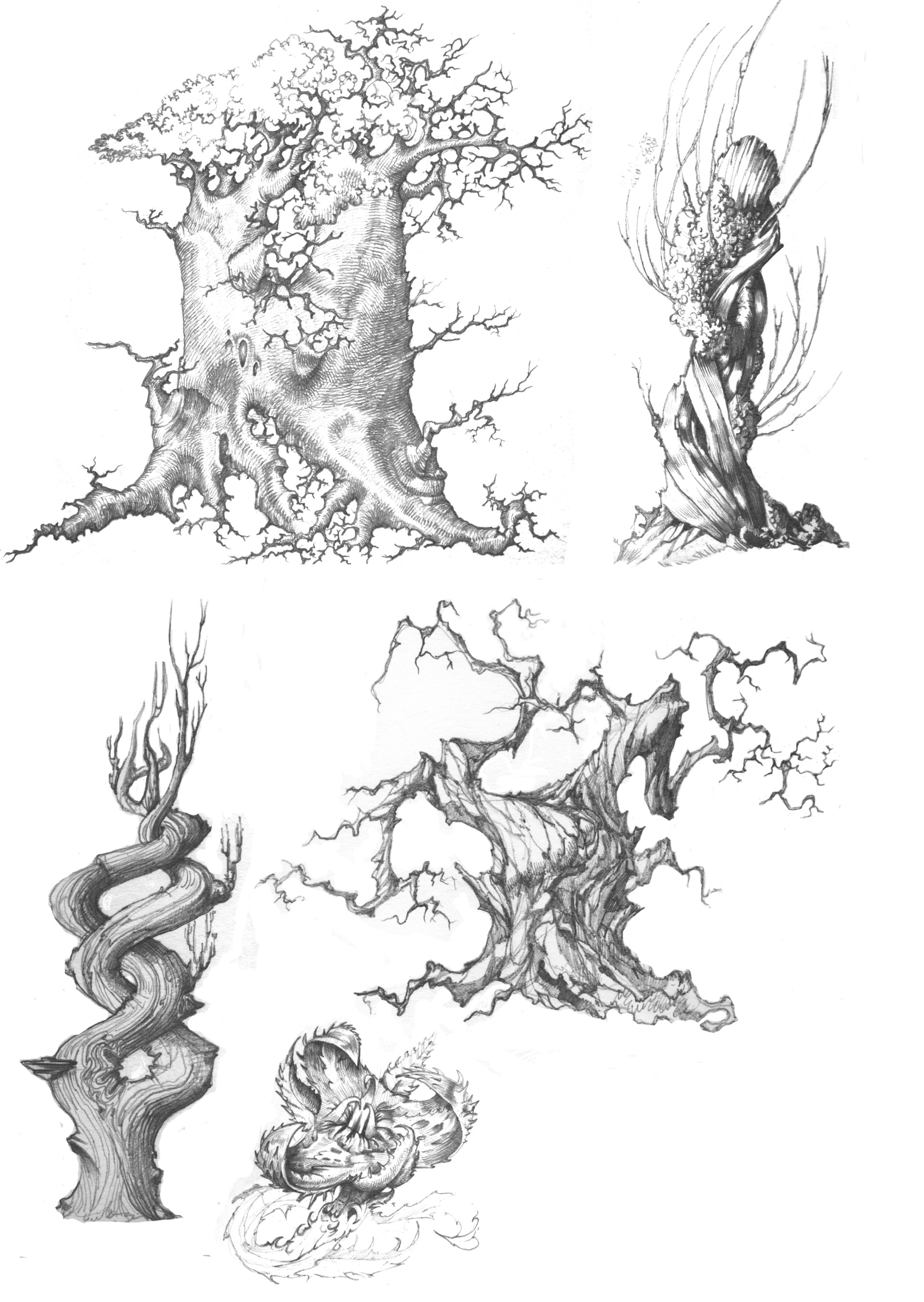 ArtStation - Trees concept
