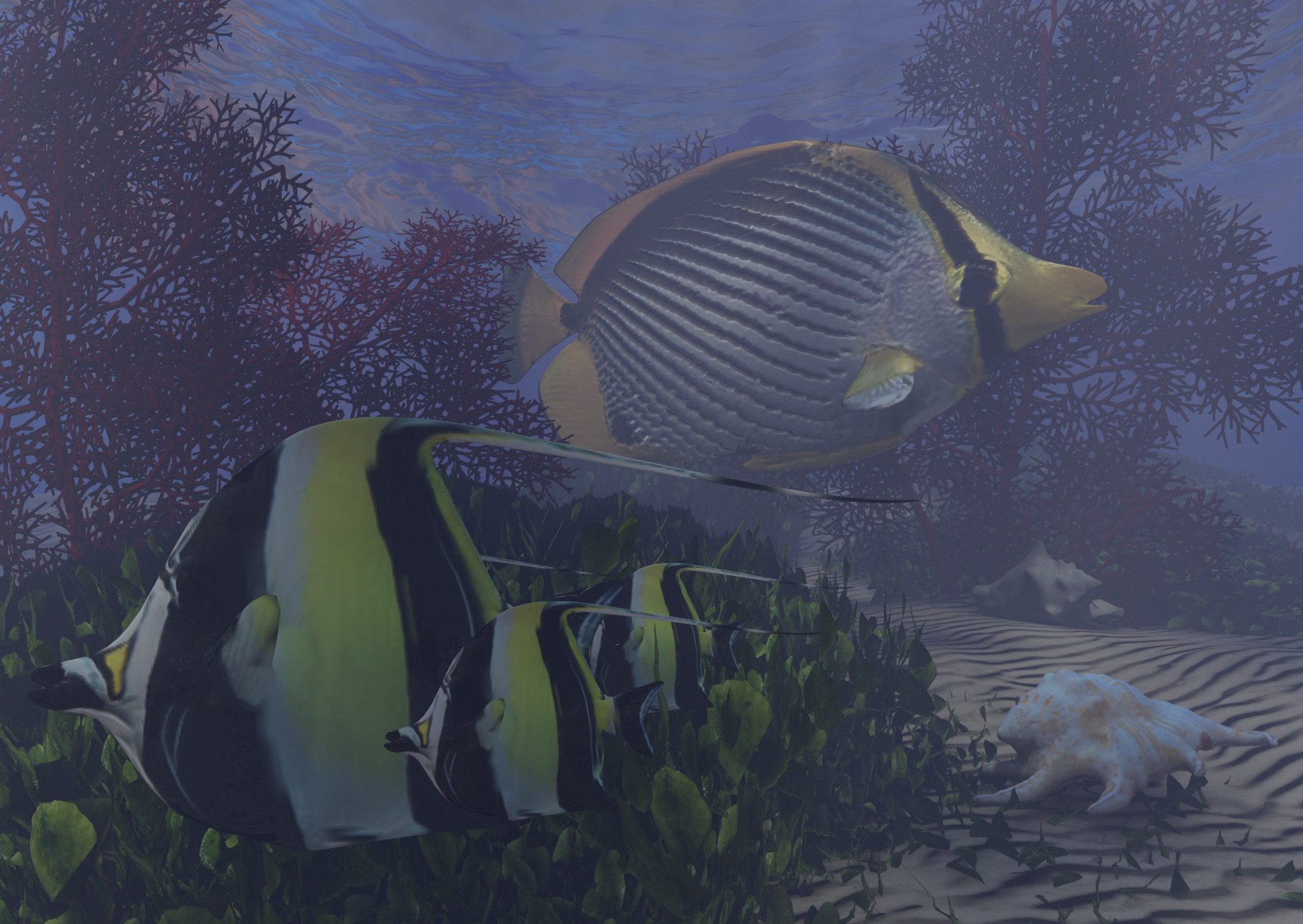 Axle Angle - Underwater Scene