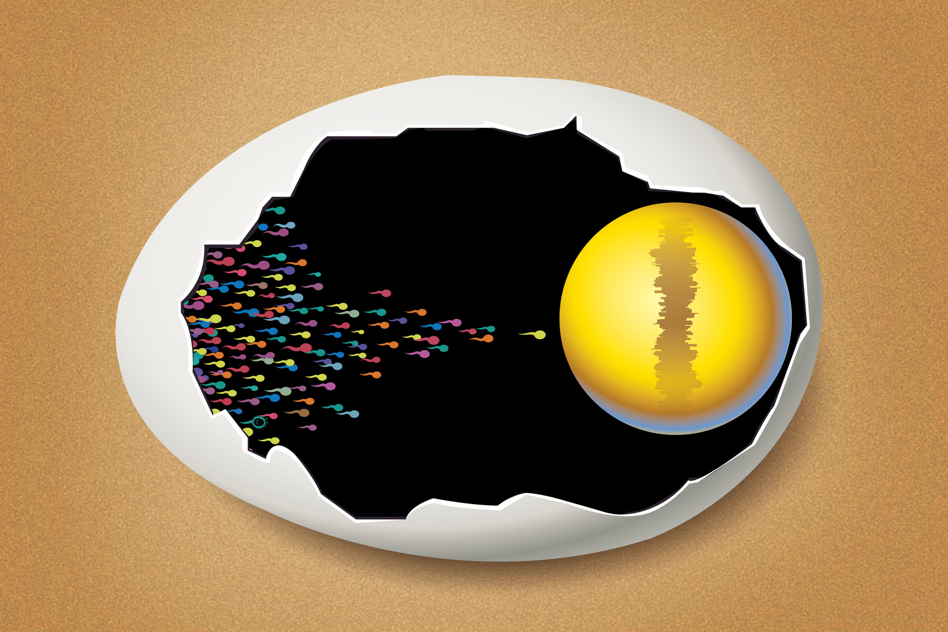 ArtStation - Egg life