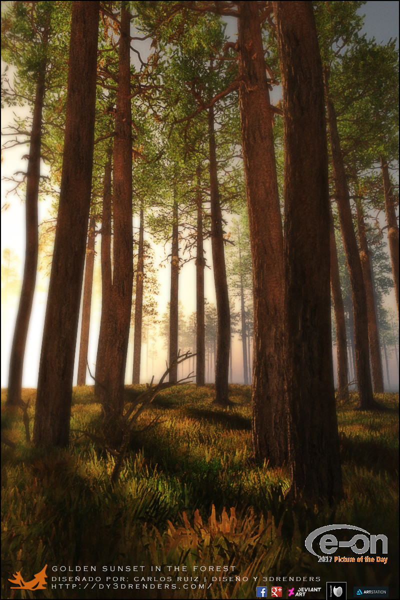 ArtStation - Golden sunset in the forest