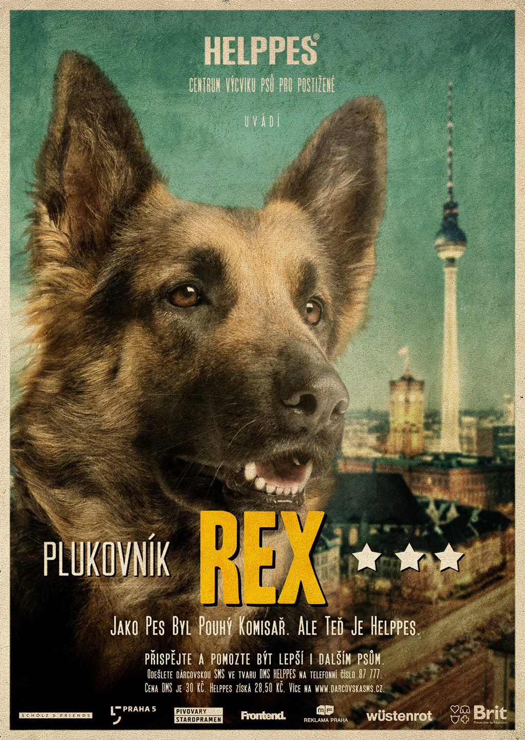 Tomáš Nestarec - HelpPes