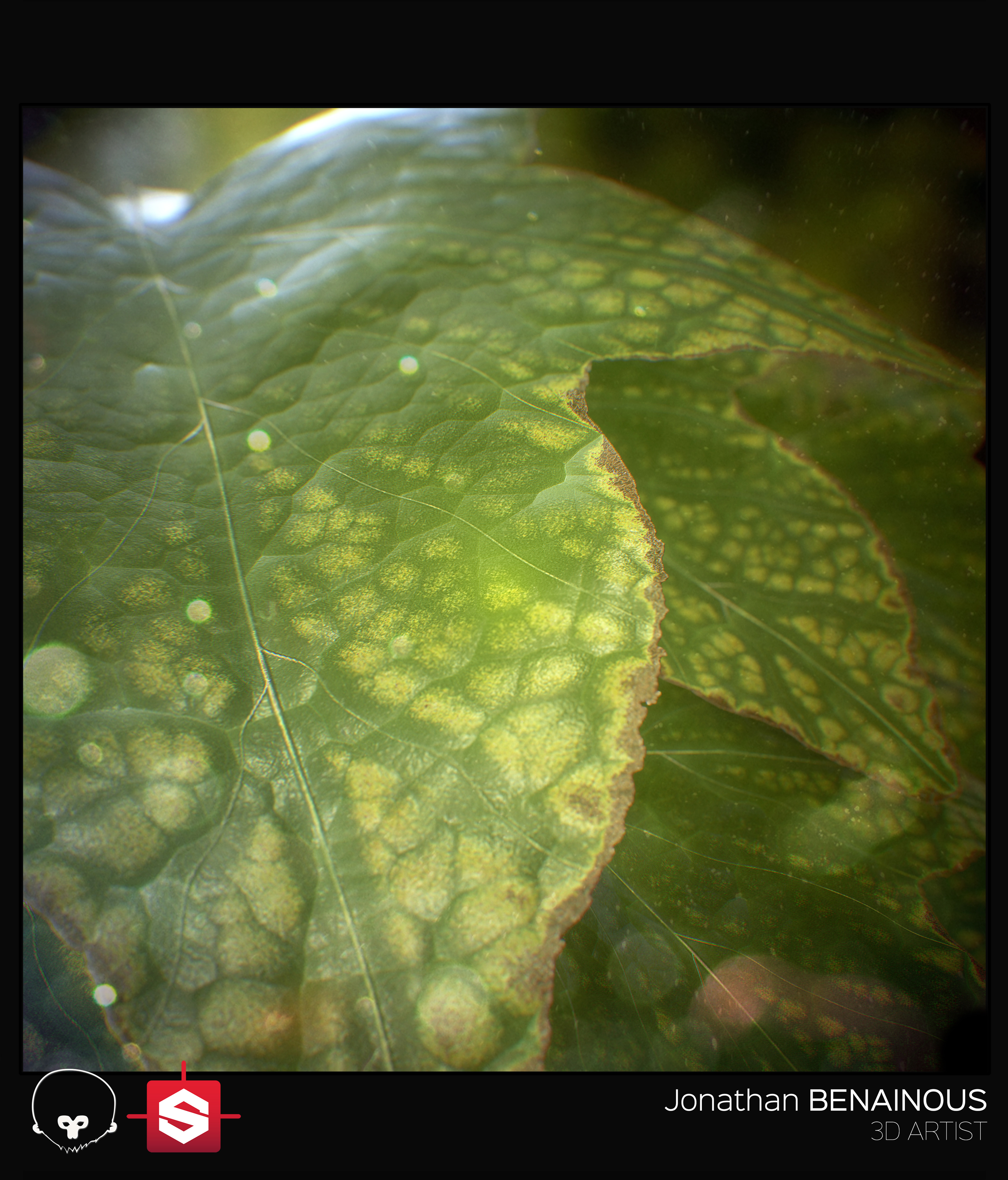 Jonathan BENAINOUS - Procedural Leaf Generator - Substance Designer ...