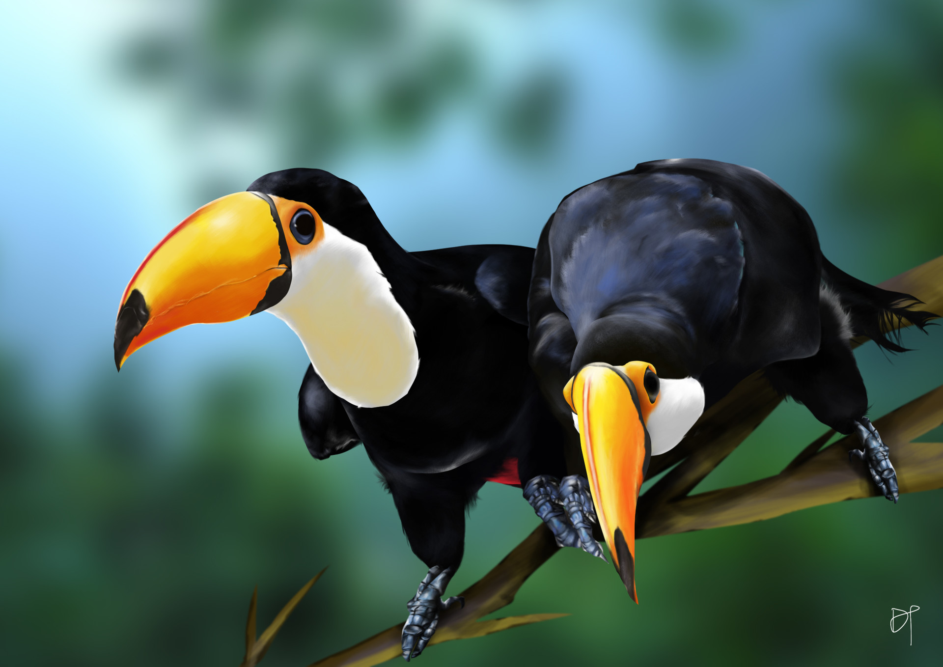 ArtStation - Toucans