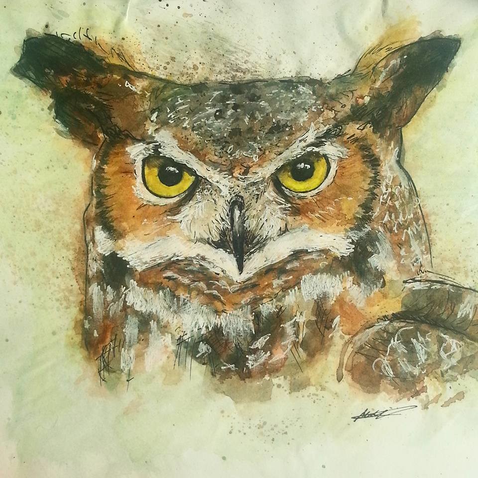 ArtStation - wide eyed owl