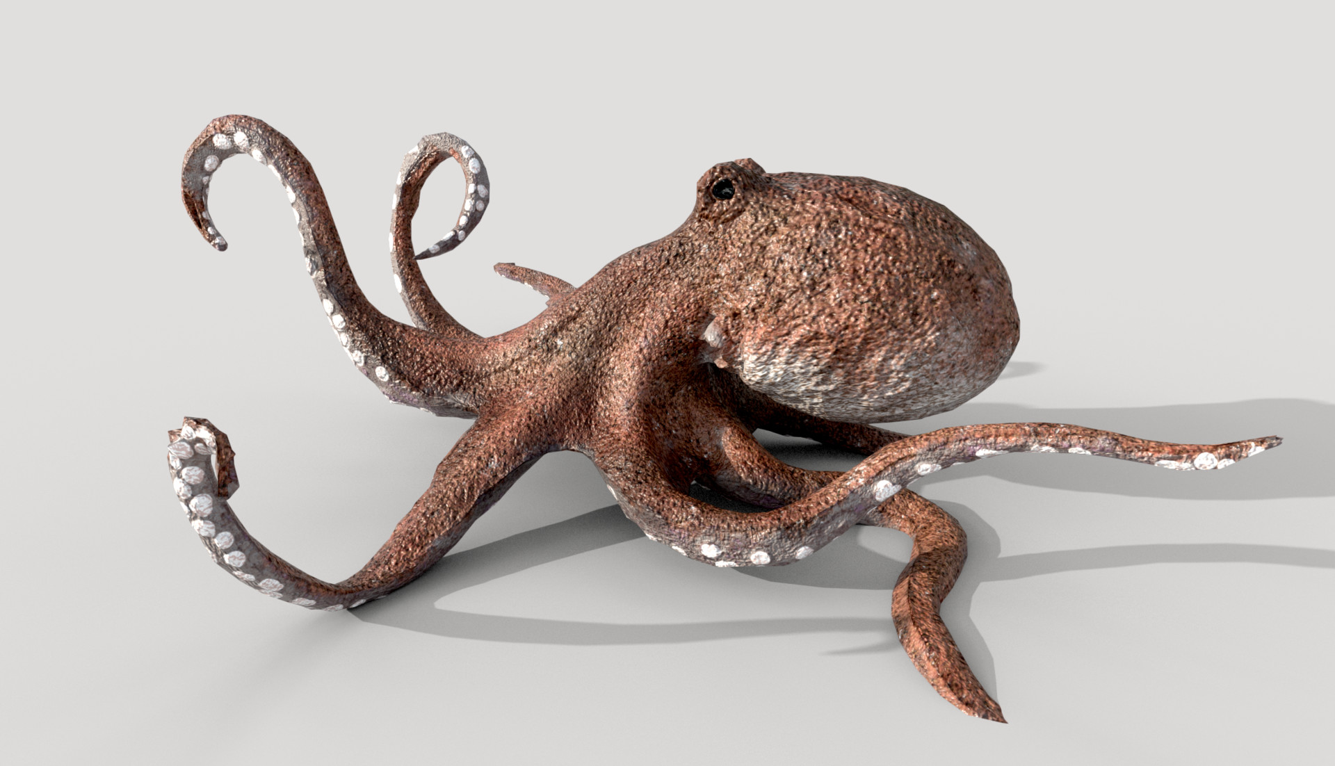 ArtStation - Low Poly Octopus
