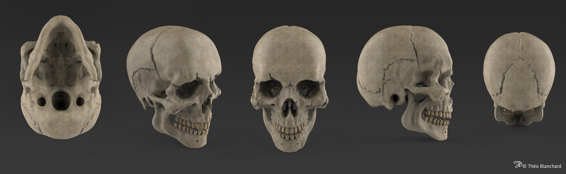 Théo Blanchard - Skull