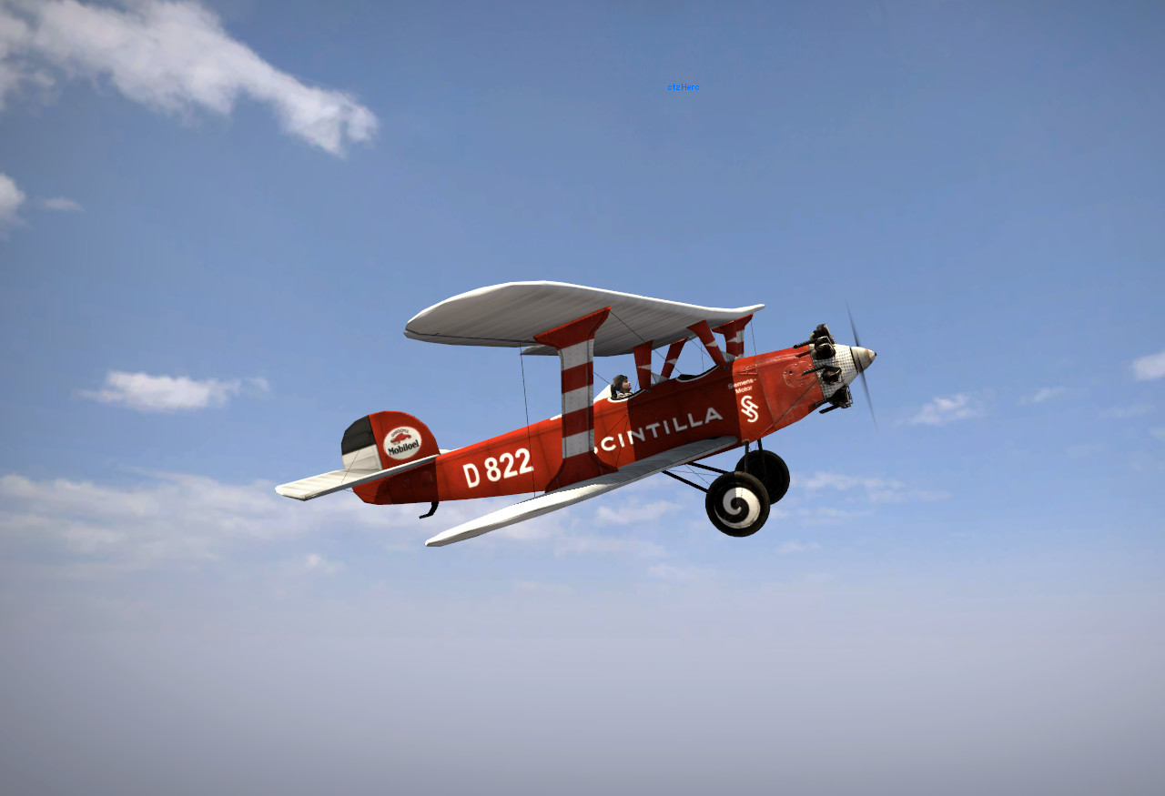 Tom van de Wijdeven - Personal Project: Udet Flamingo