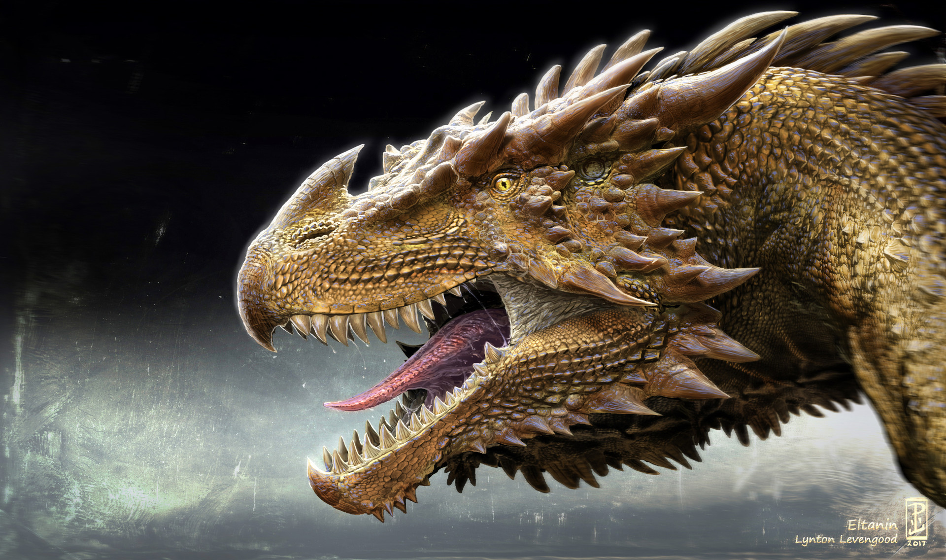 lynton-levengood-skull-mouth-open-with-skin-04.jpg (1920×1136)-花瓣网