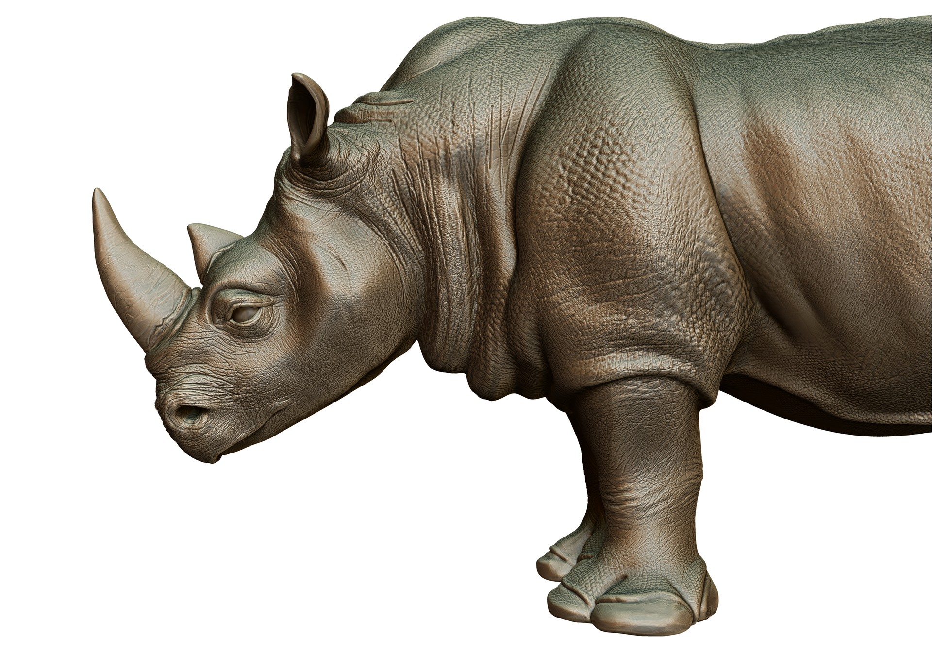 ArtStation - Rhinoceros 3d model