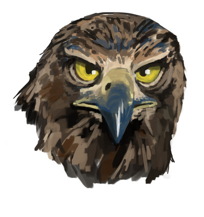 ArtStation - eagle study