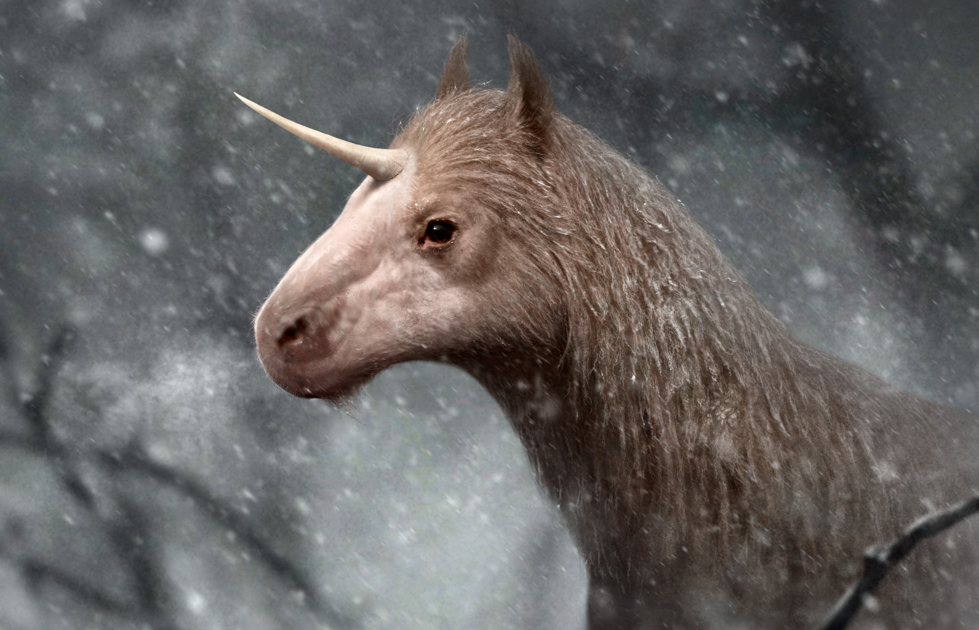 ArtStation - Woolly Unicorn