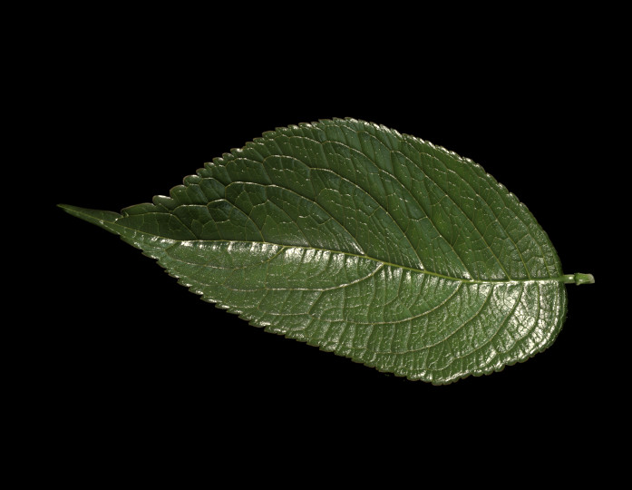 ArtStation - normal map test