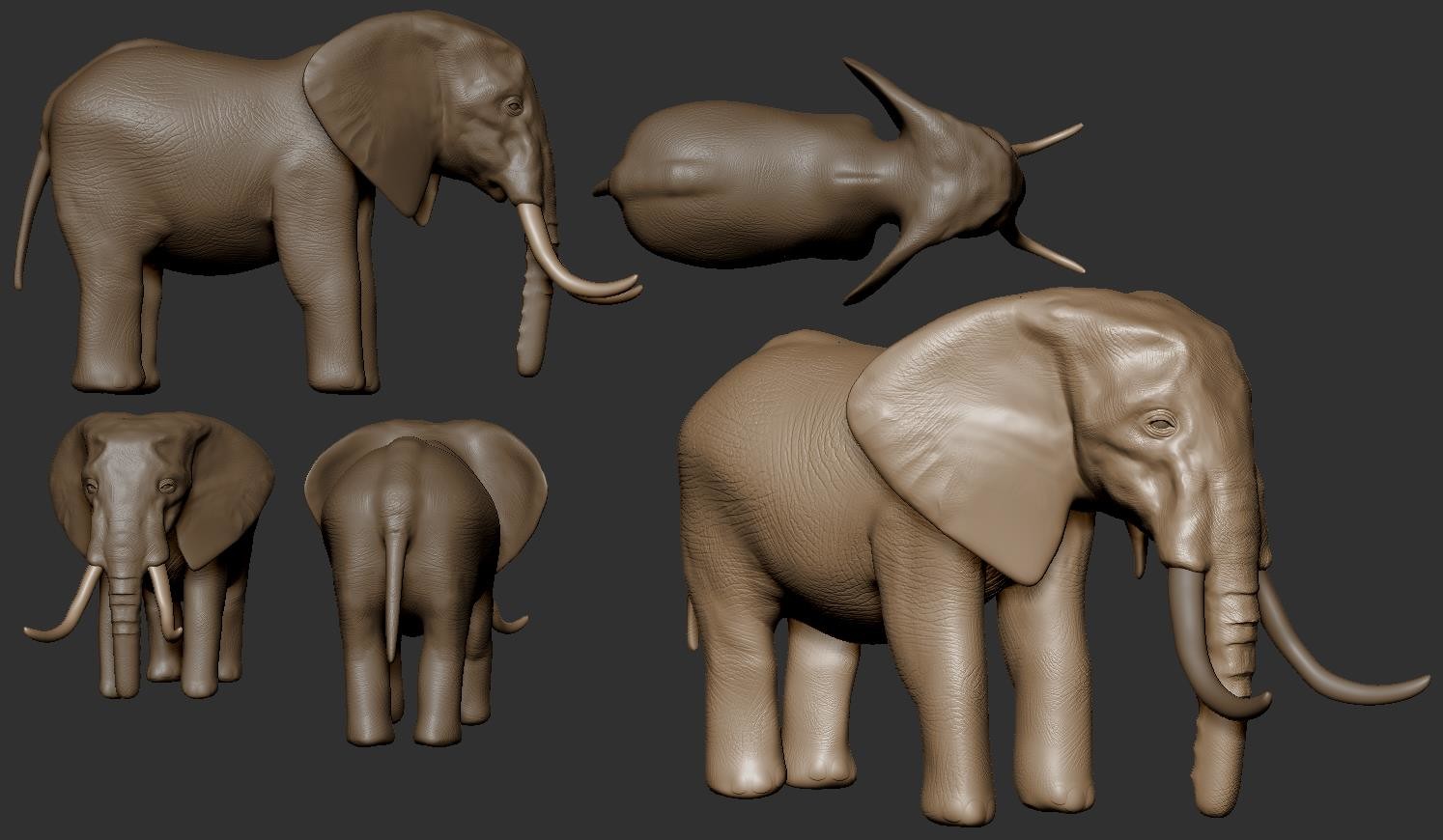 ArtStation - Elephant