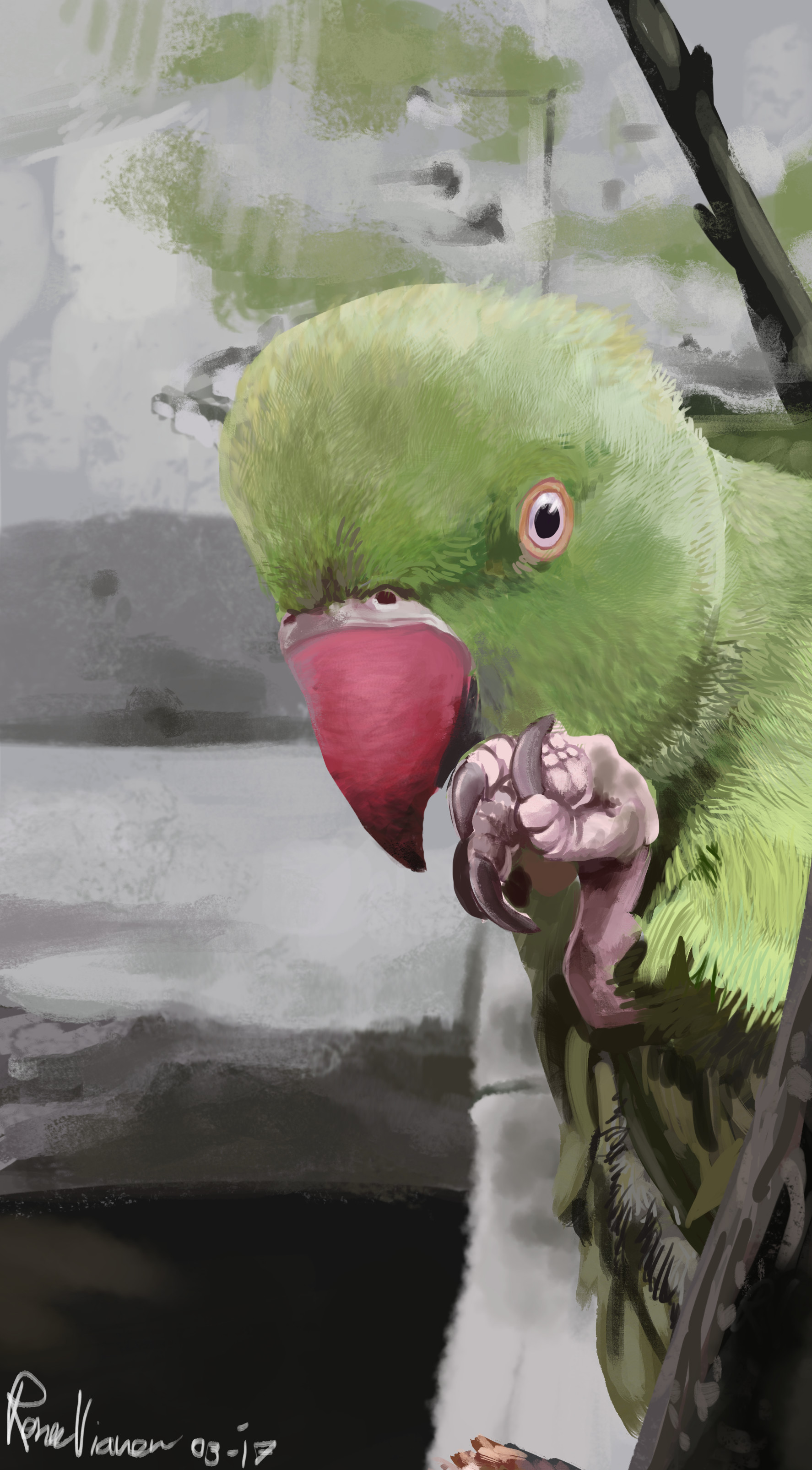 ArtStation - Parrot study