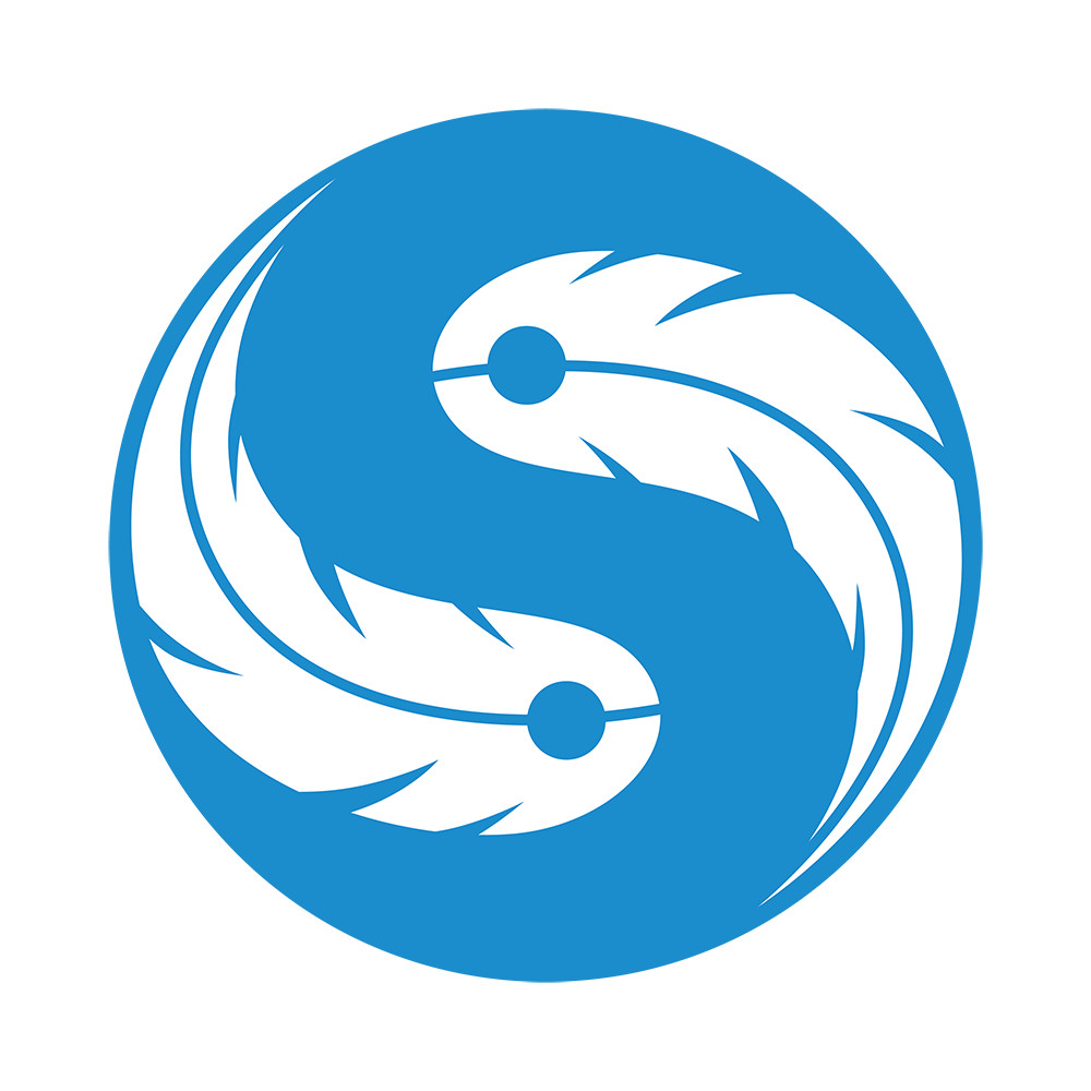 Evely Lyt - Logo for SKAIA company