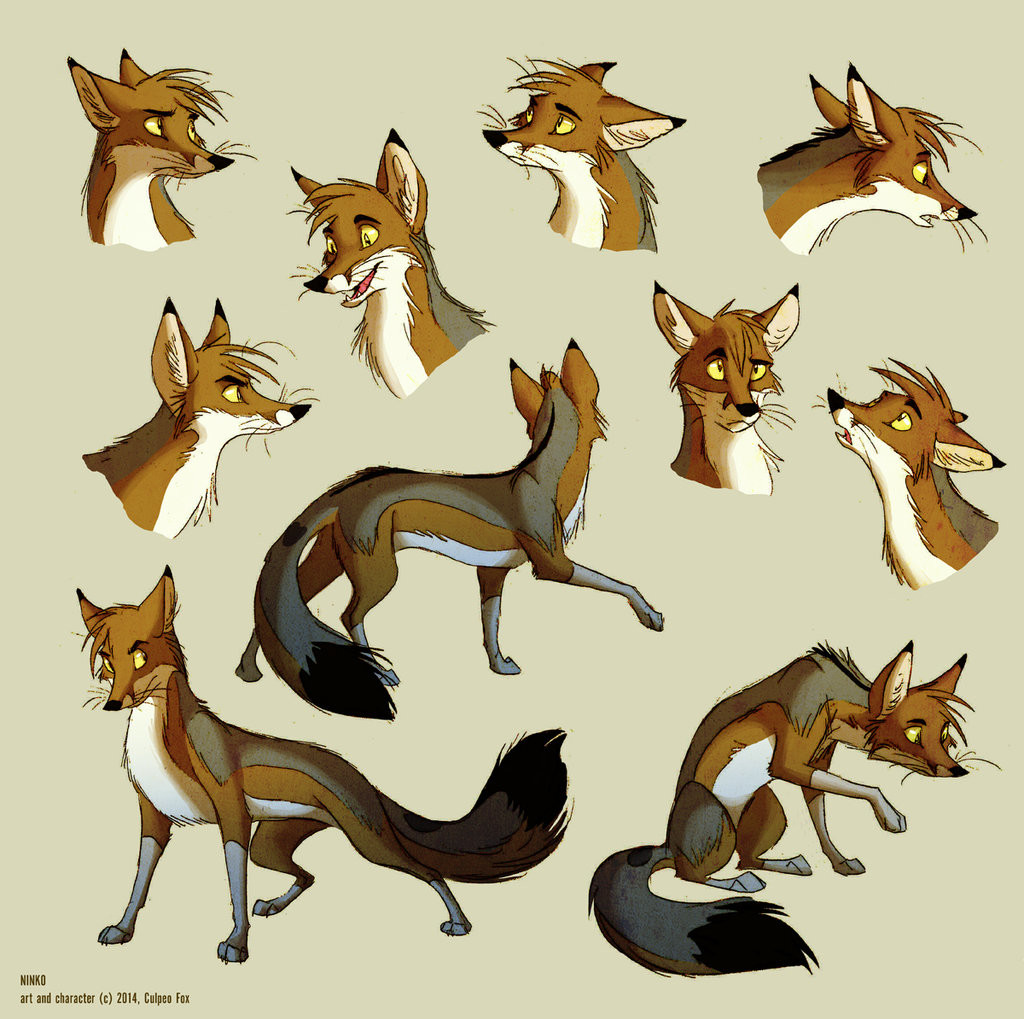 culpeo fox