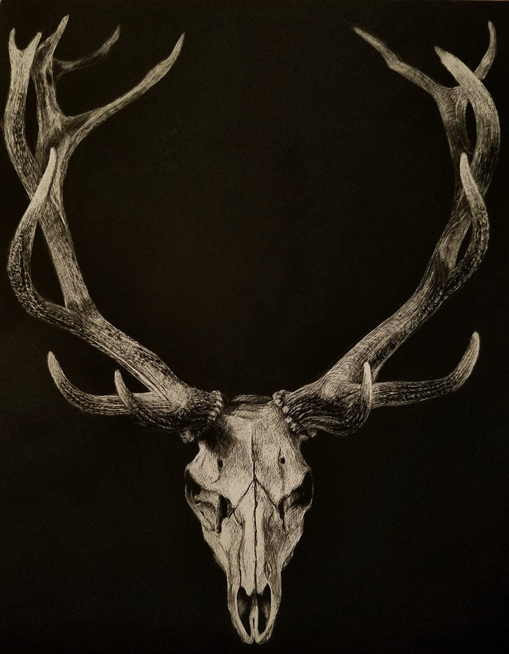 ArtStation - Red Deer