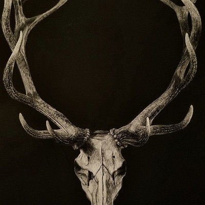 Alison Farmer - Portfolio