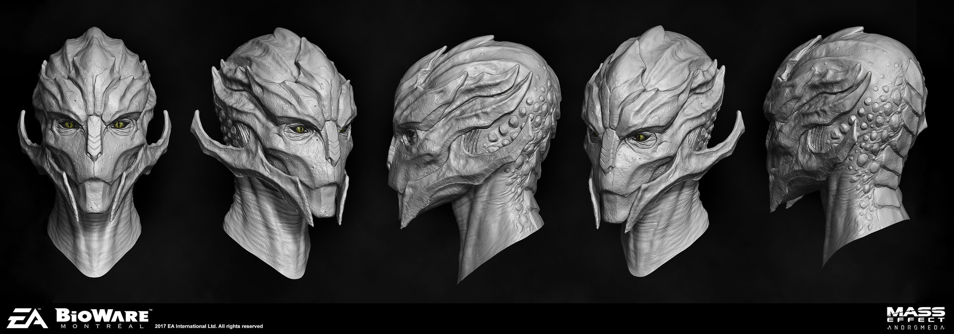 are there female turians