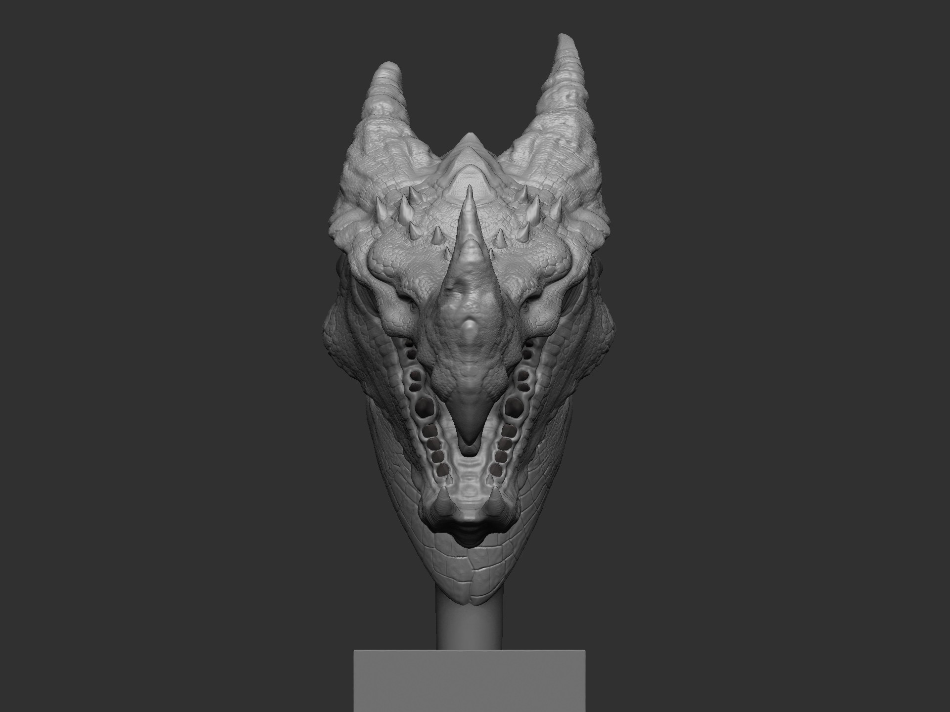 dragon front view reference