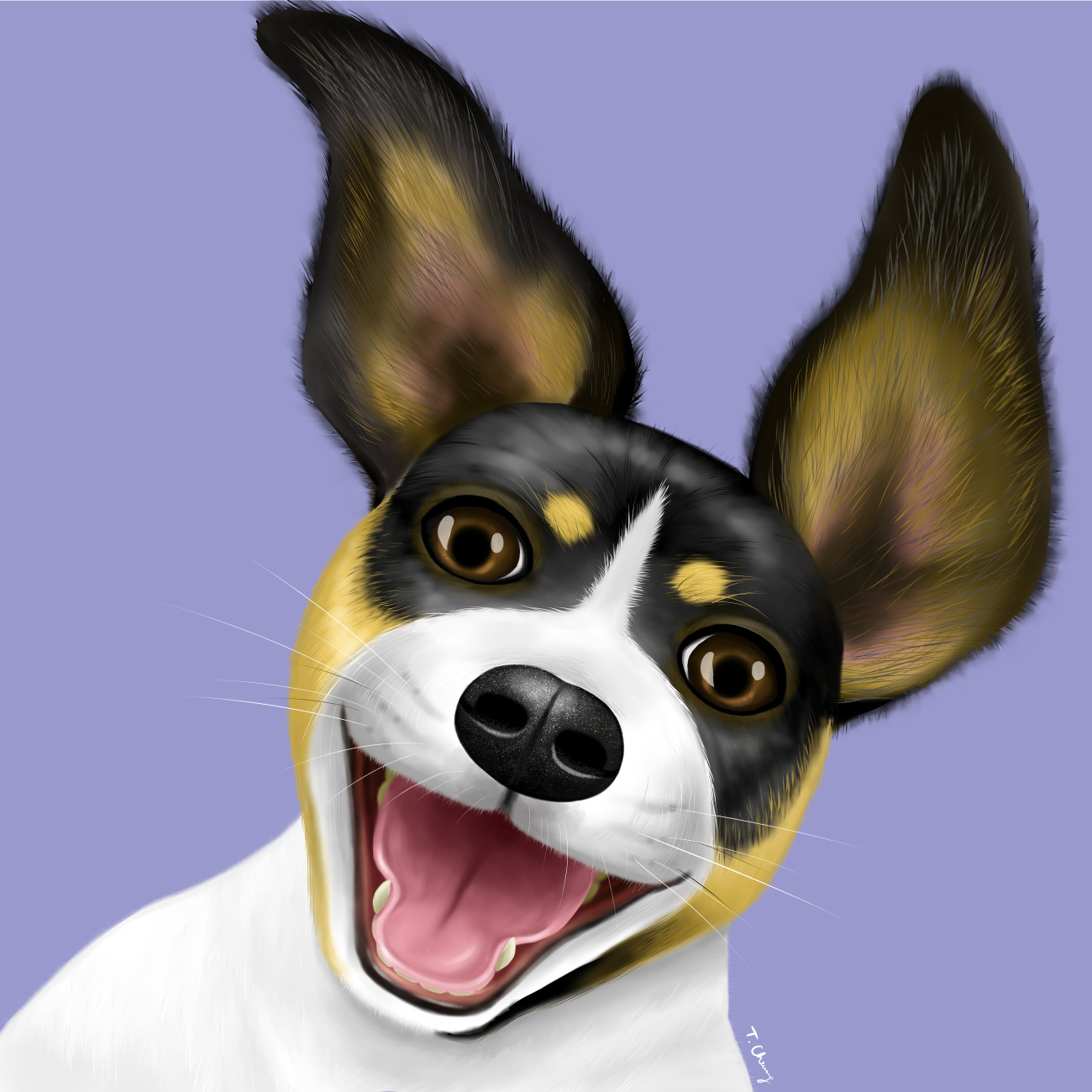 how to draw a rat terrier