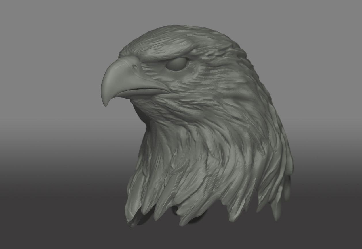 ArtStation - eagle quick sculpt