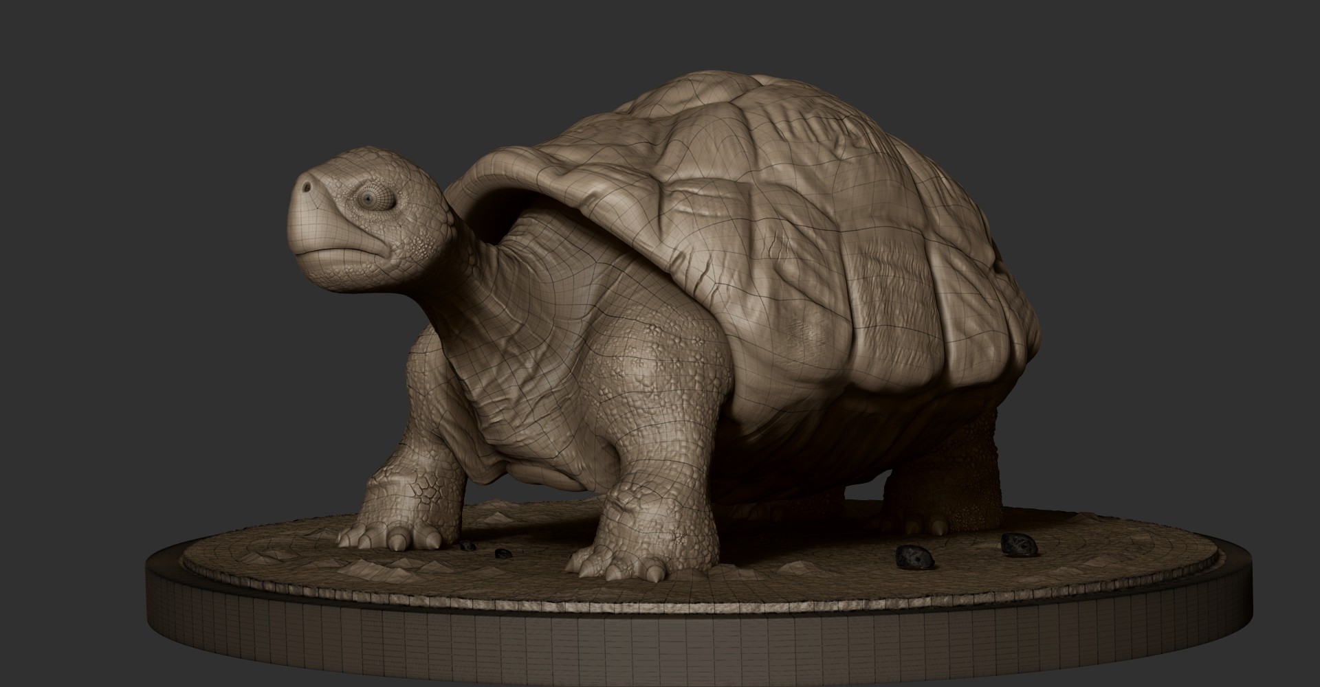 ArtStation - Tortoise