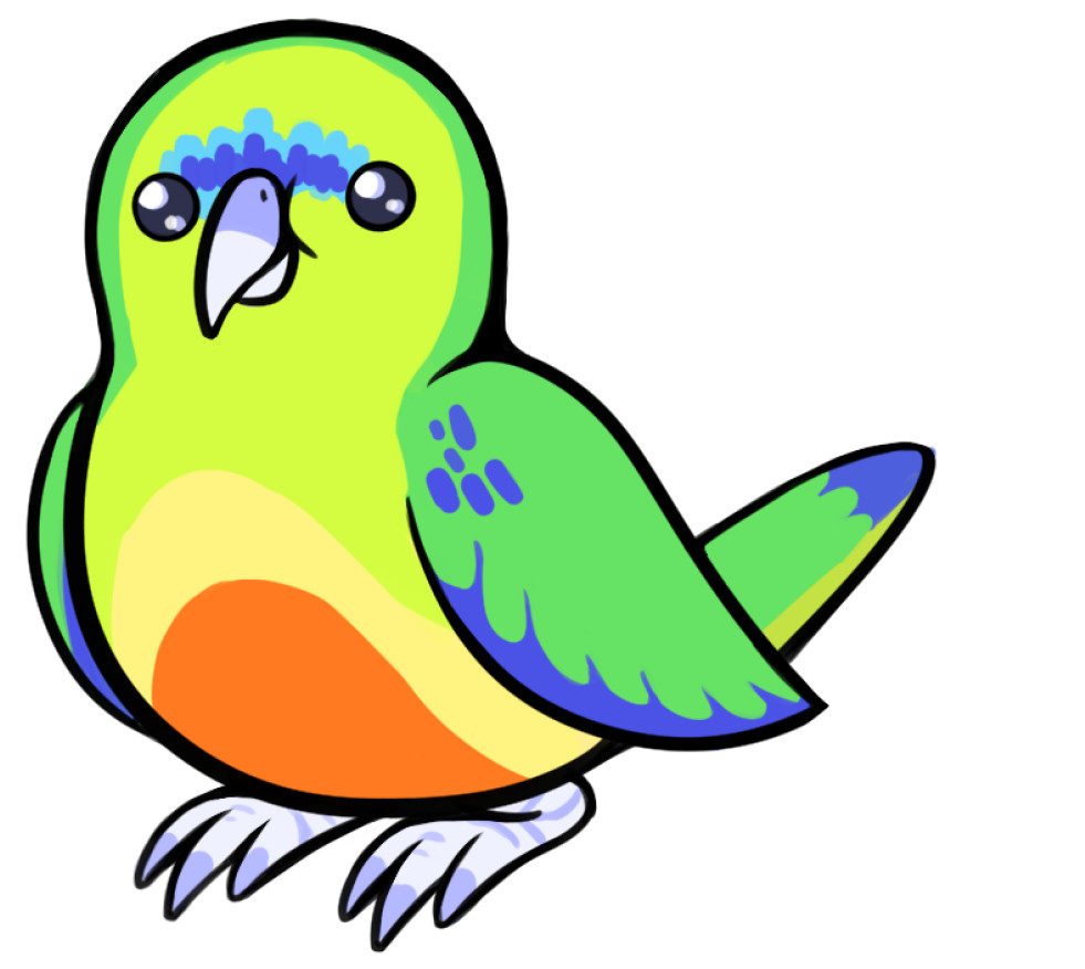 how to draw a orange bellied parrot