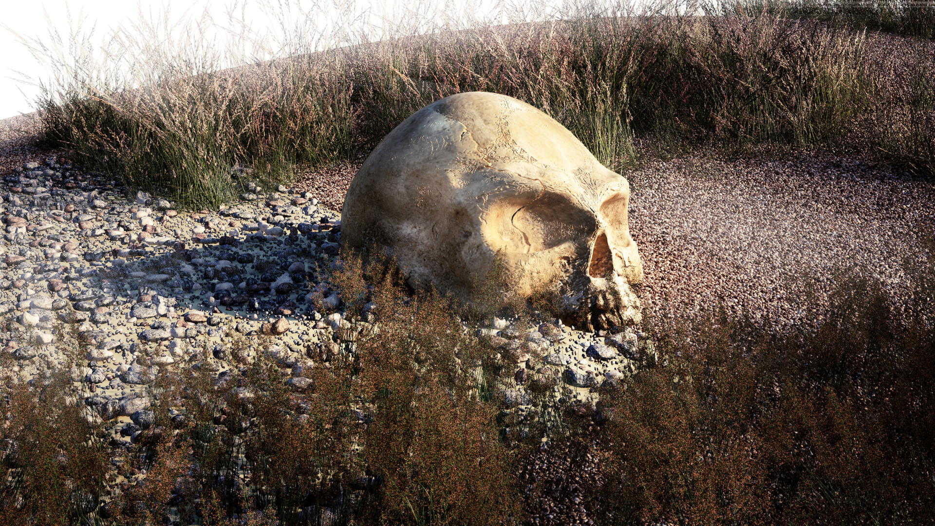 ArtStation - Mayan Skull