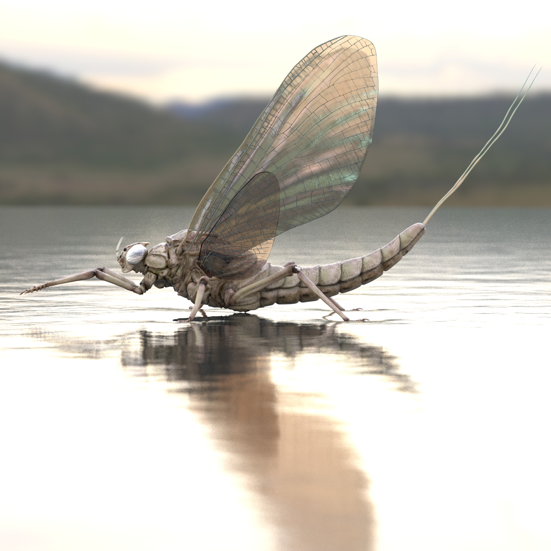 ArtStation - Mayfly Sculpt