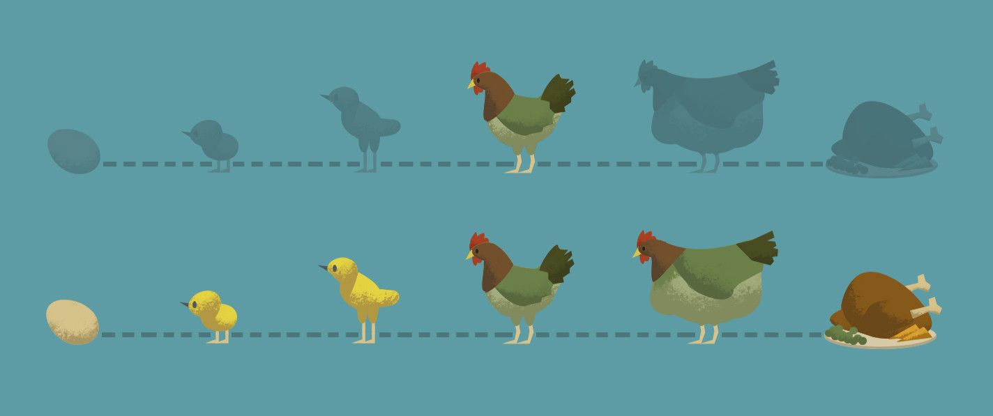 ArtStation - CHICKEN TIMELINE