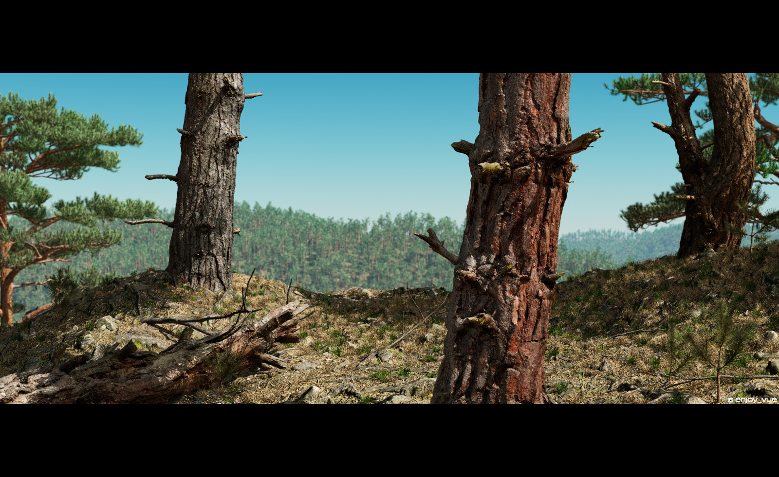 ArtStation - pine forest 1