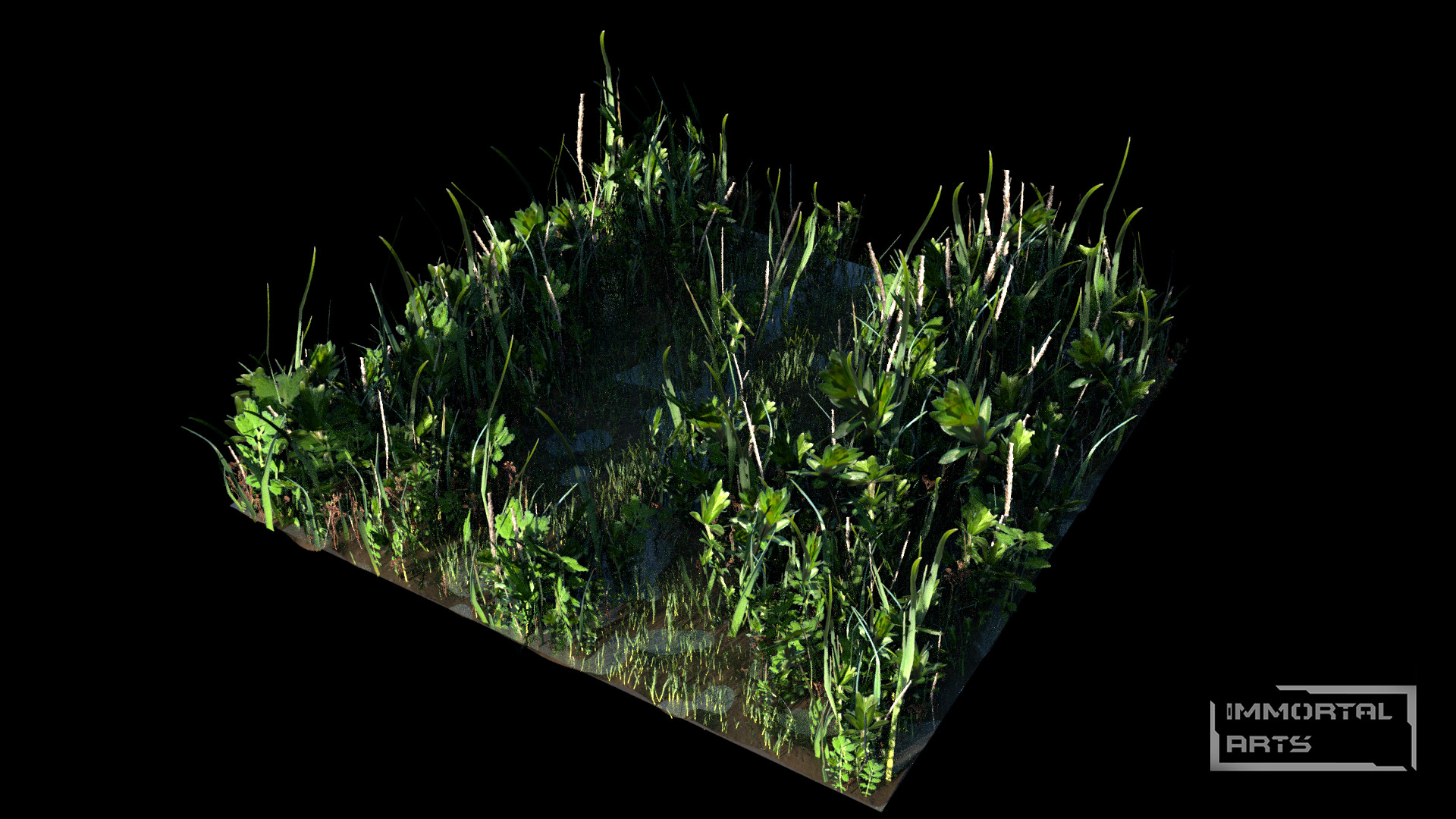 ArtStation - Grass Study 1
