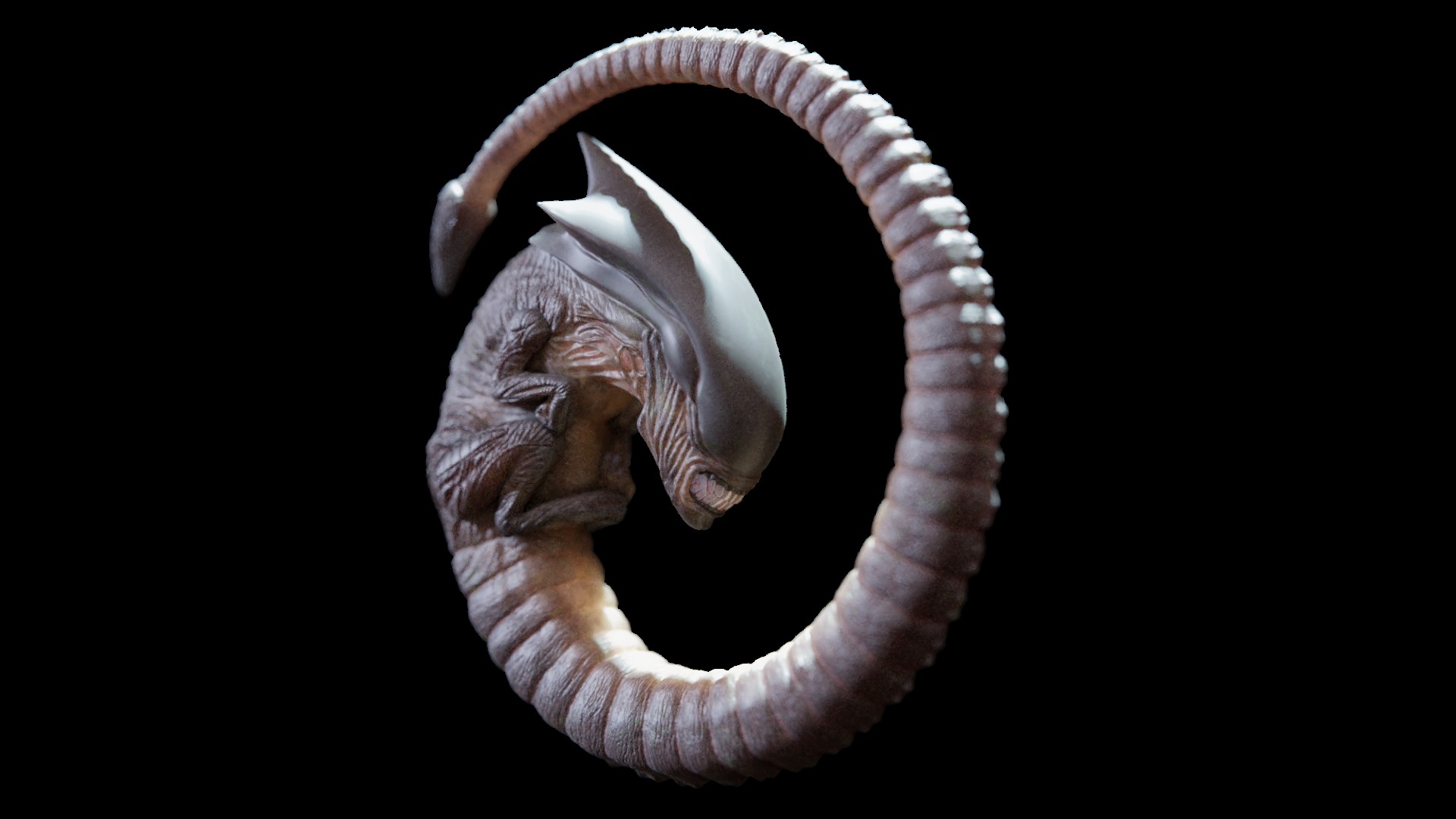 José Nicolás Carrizales Rivera "Nikko3d" - Alien Queen Larva