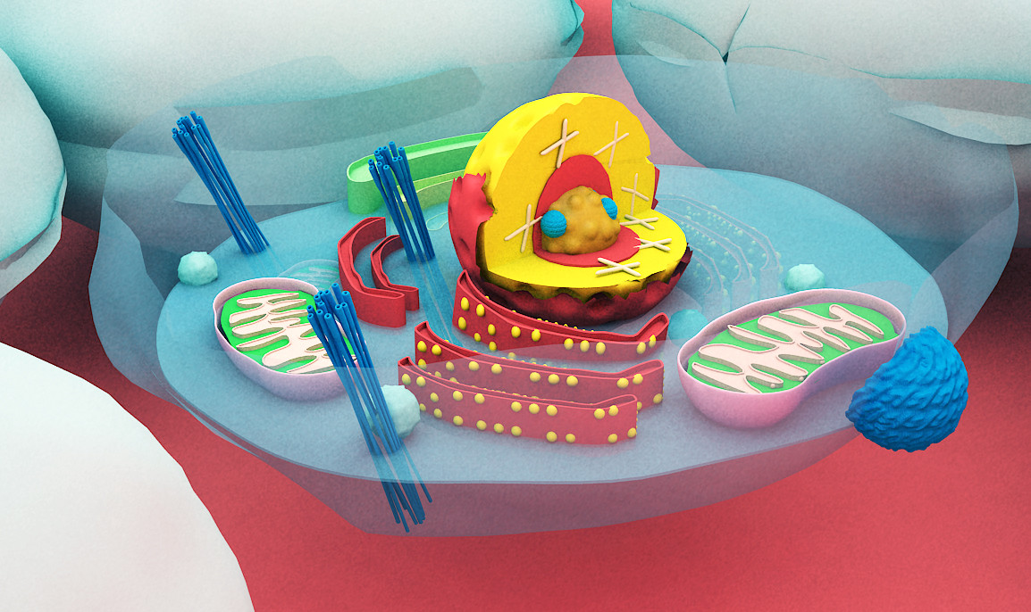 ArtStation - Human Cell