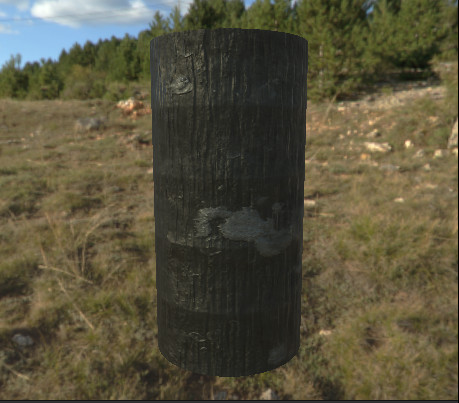 ArtStation - Tree Texture