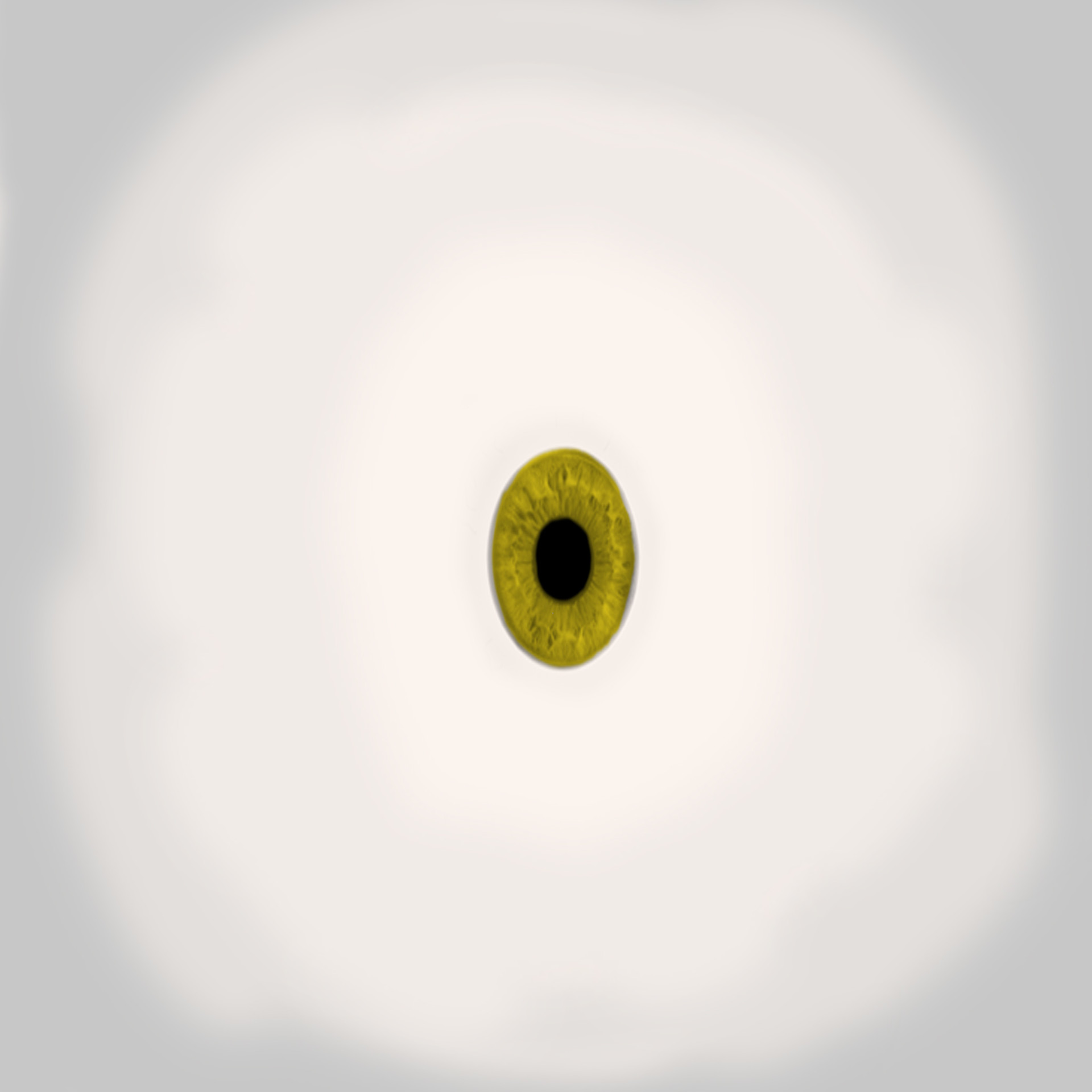 Tomas Loayza - 3D Human Character - Young Ozai