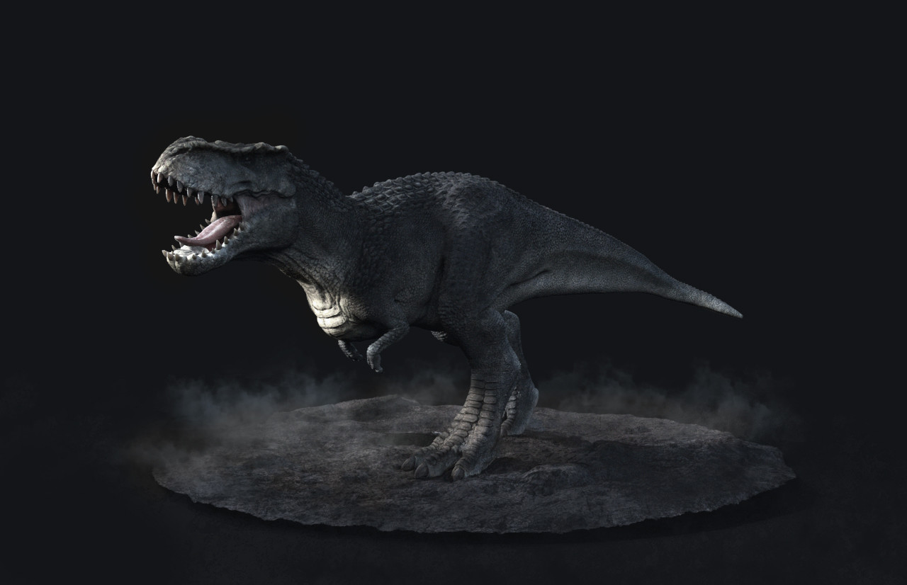 Aritz Basauri - V Rex