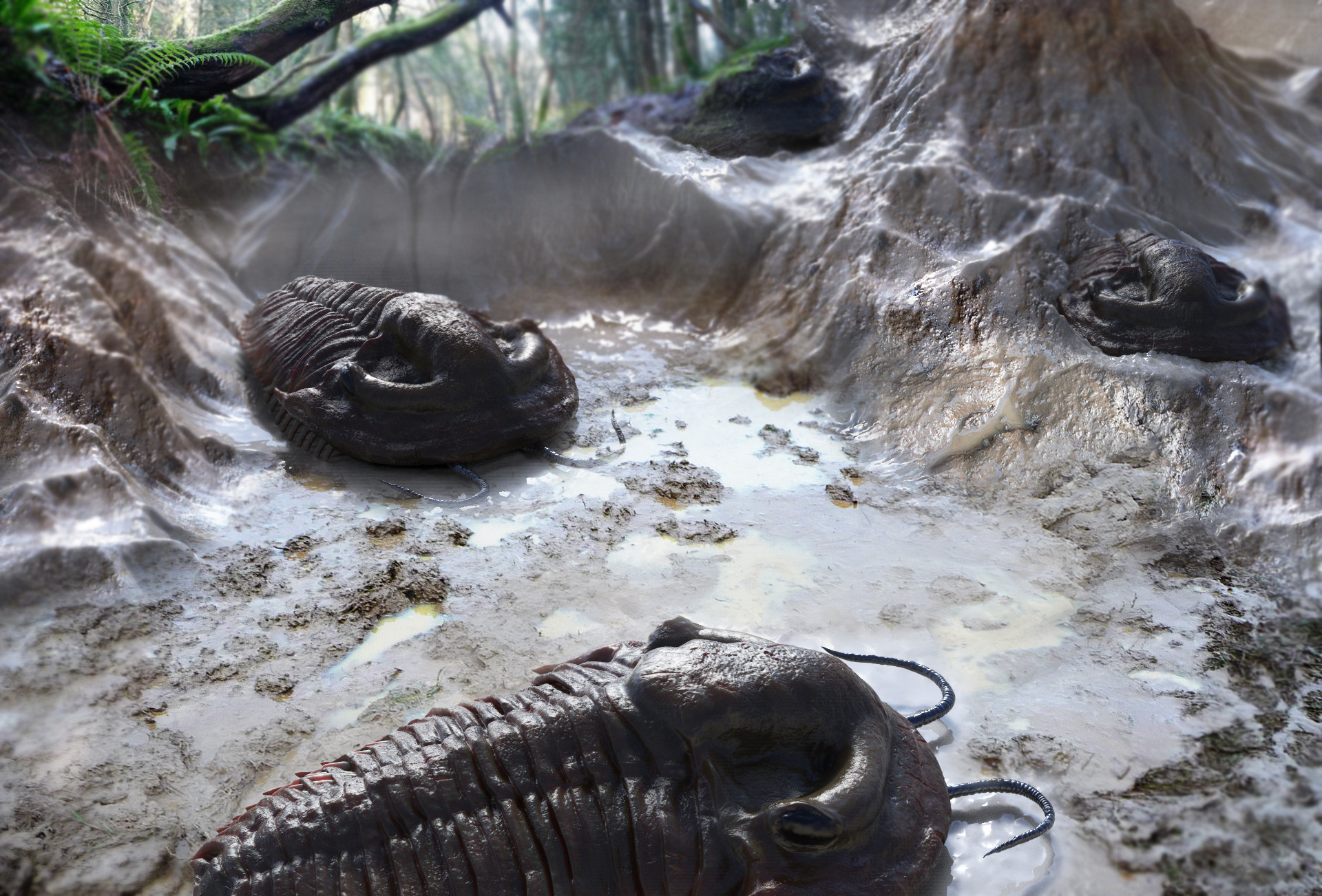 Ilya Yungin - Profallotaspis jakutensis