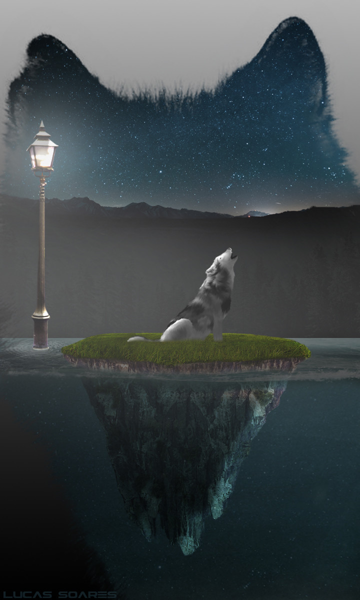 ArtStation - Lone Wolf