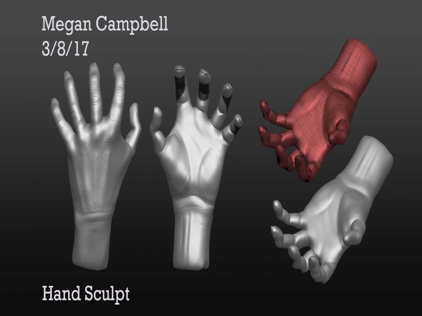 Megan Campbell - Hand Sculpt