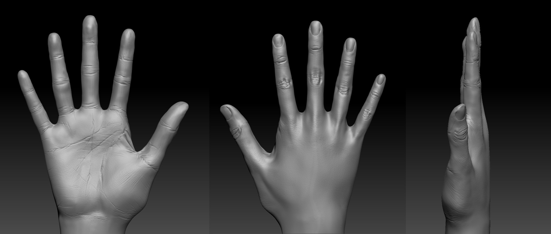 ArtStation - Hand Study