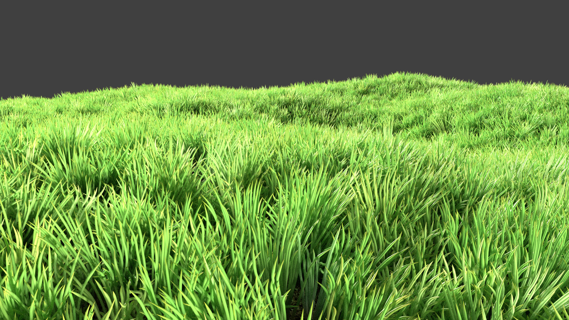 ArtStation - Testing a terrain using displace map with the grass prototypes