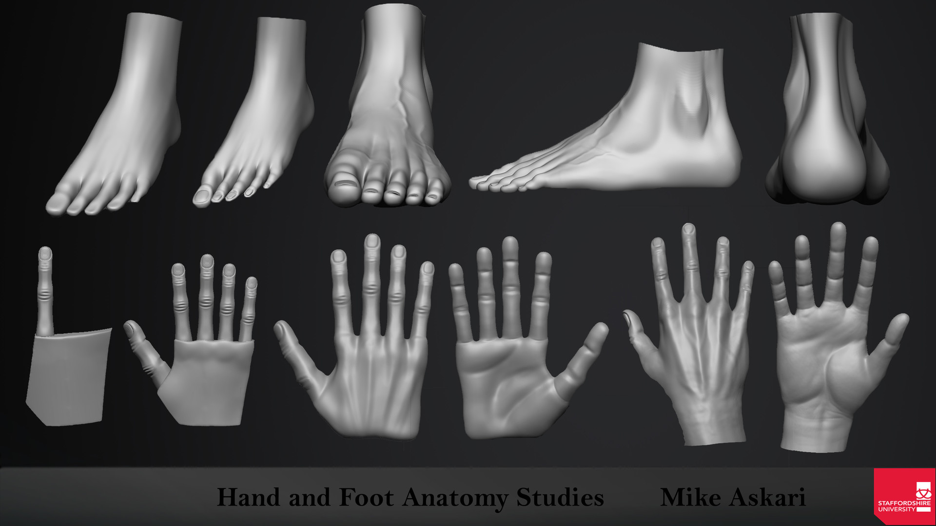 ArtStation - Anatomy Sculpt Studies